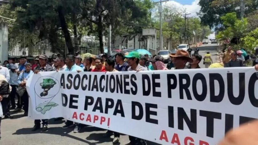 Productores de papa bloquean la carretera CA-5 en Intibucá exigiendo ...